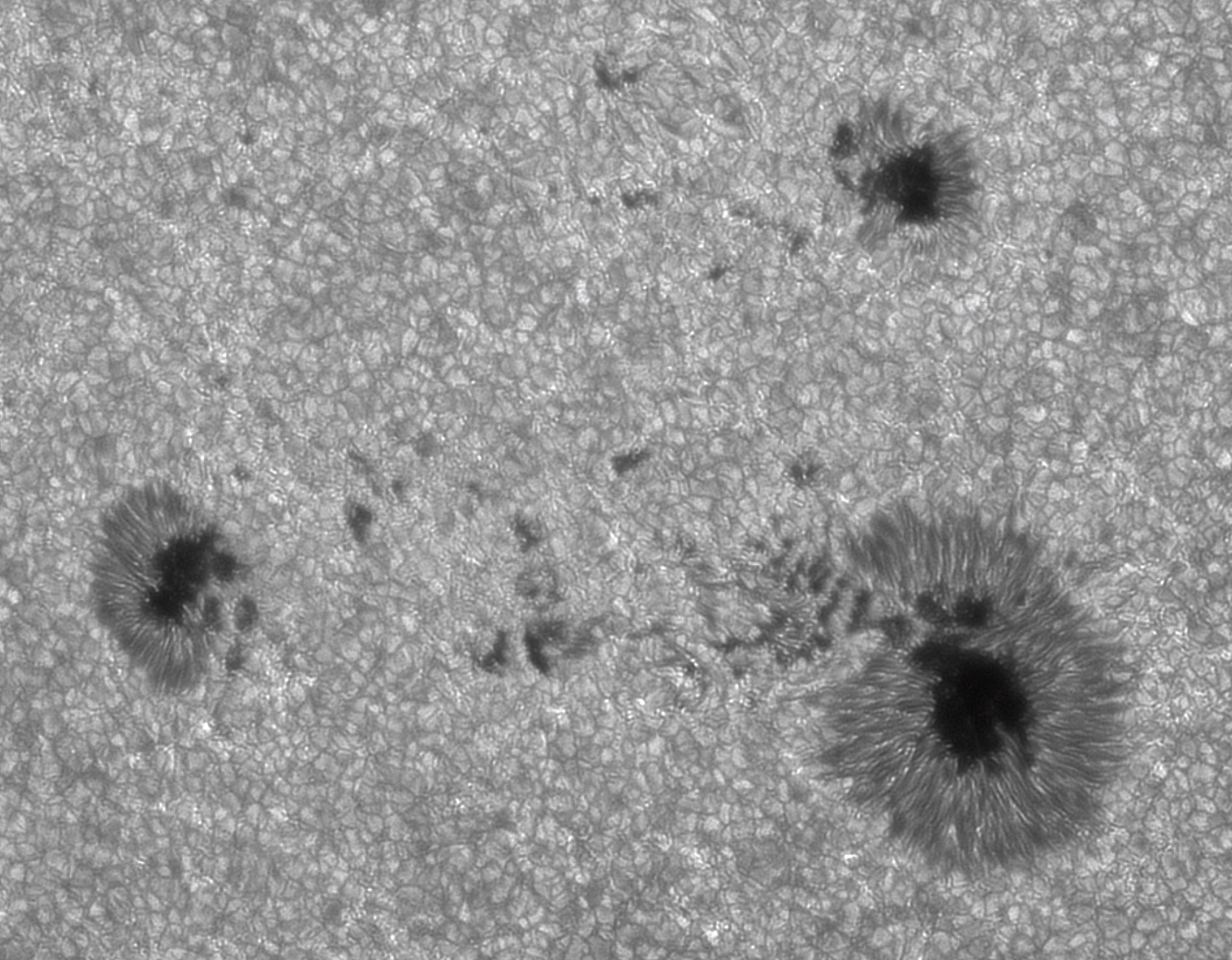 Sonne im G-Band am 22.06.2025 | Forum Astronomie.de