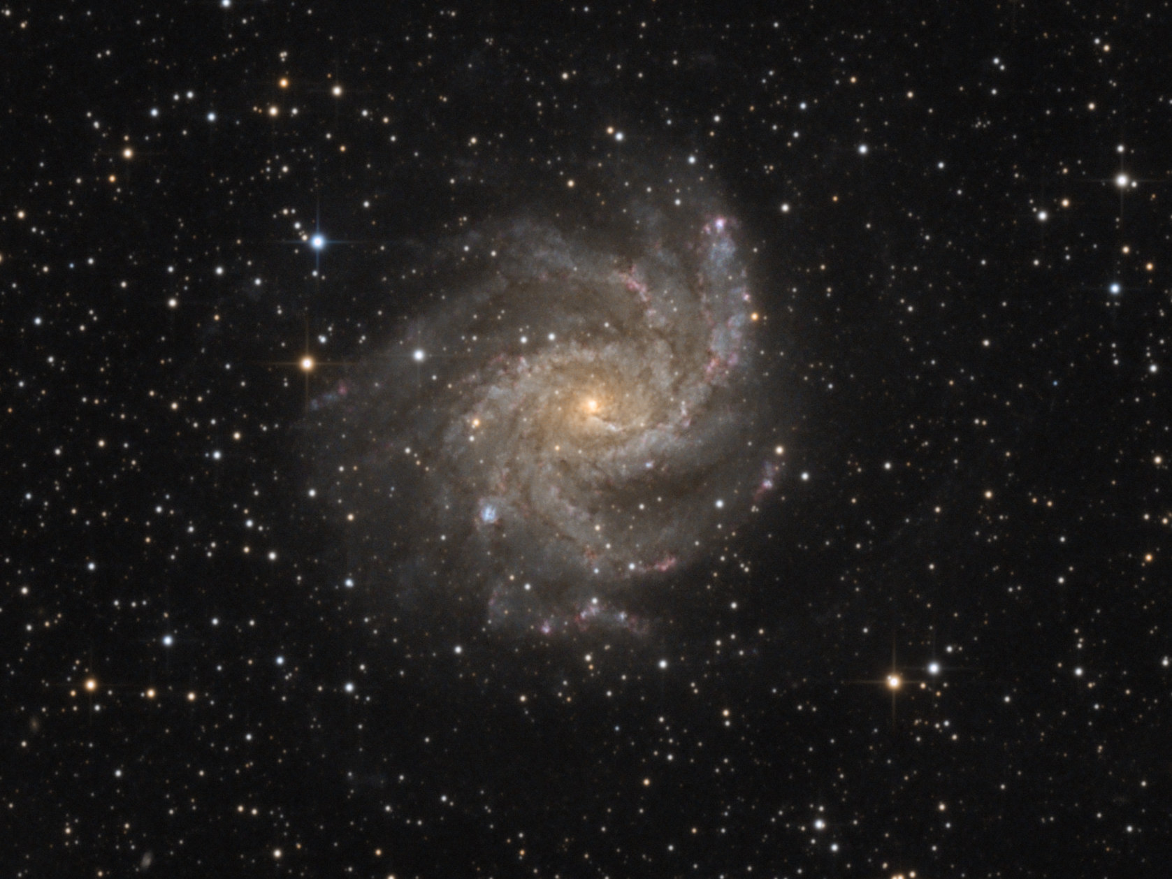 Feuerweksgalaxie (Caldwell 12 / NGC 6946 / Arp 29) | Forum Astronomie.de