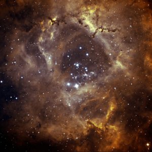 NGC2244 | Astronomie.de - Der Treffpunkt für Astronomie