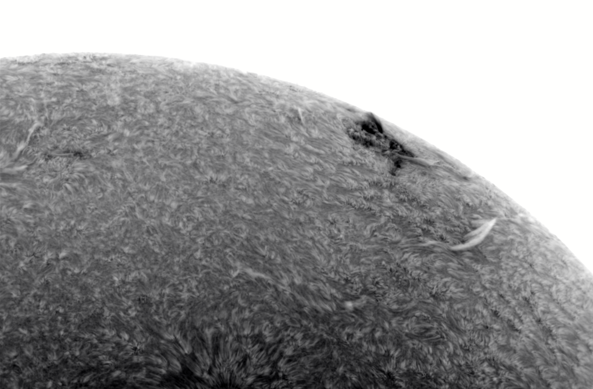 DayStar Quark (FirstLight) - invertiert | Forum Astronomie.de