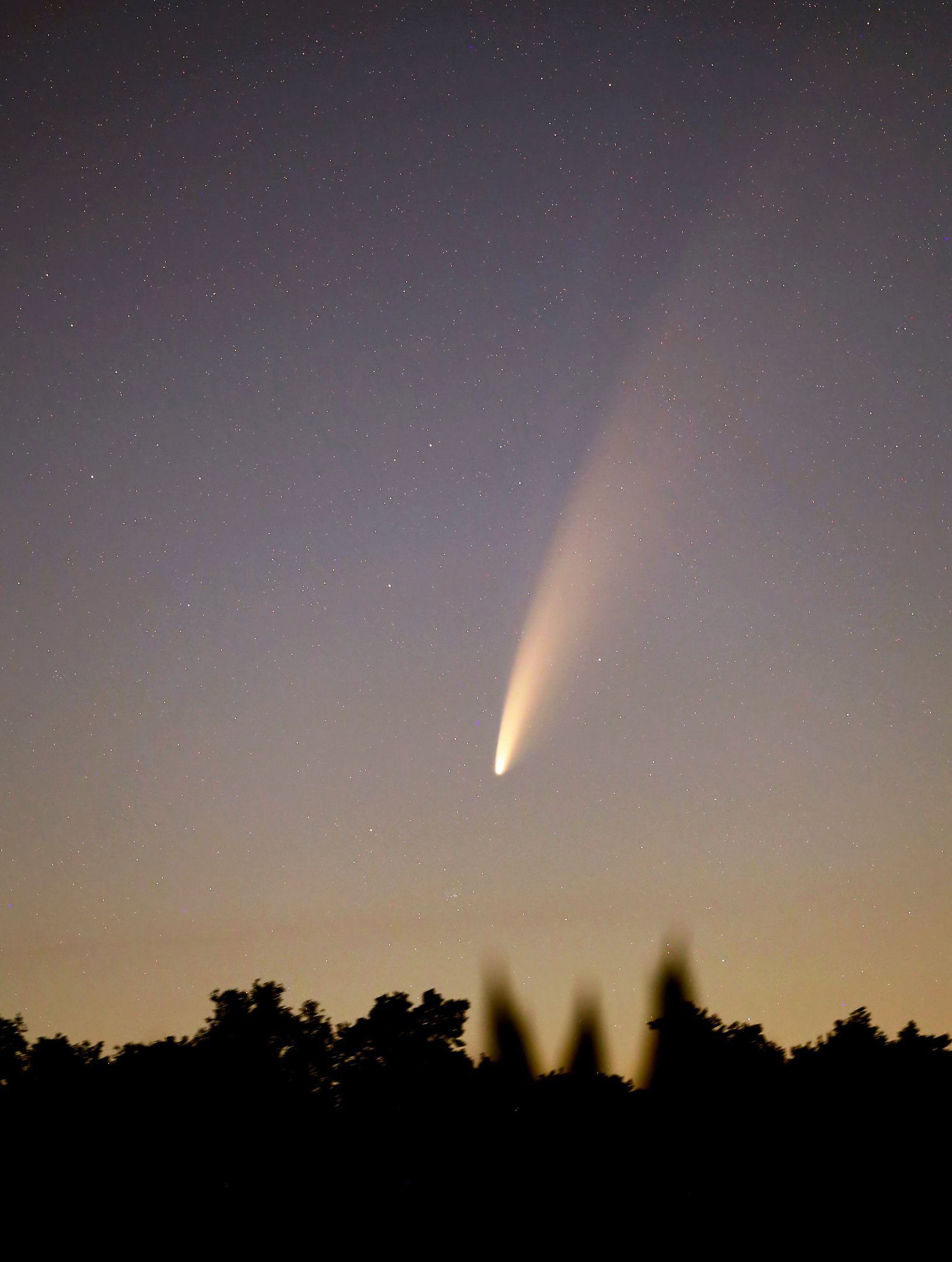 Komet C/2020 F3 Neowise | Astronomie.de - Der Treffpunkt für Astronomie