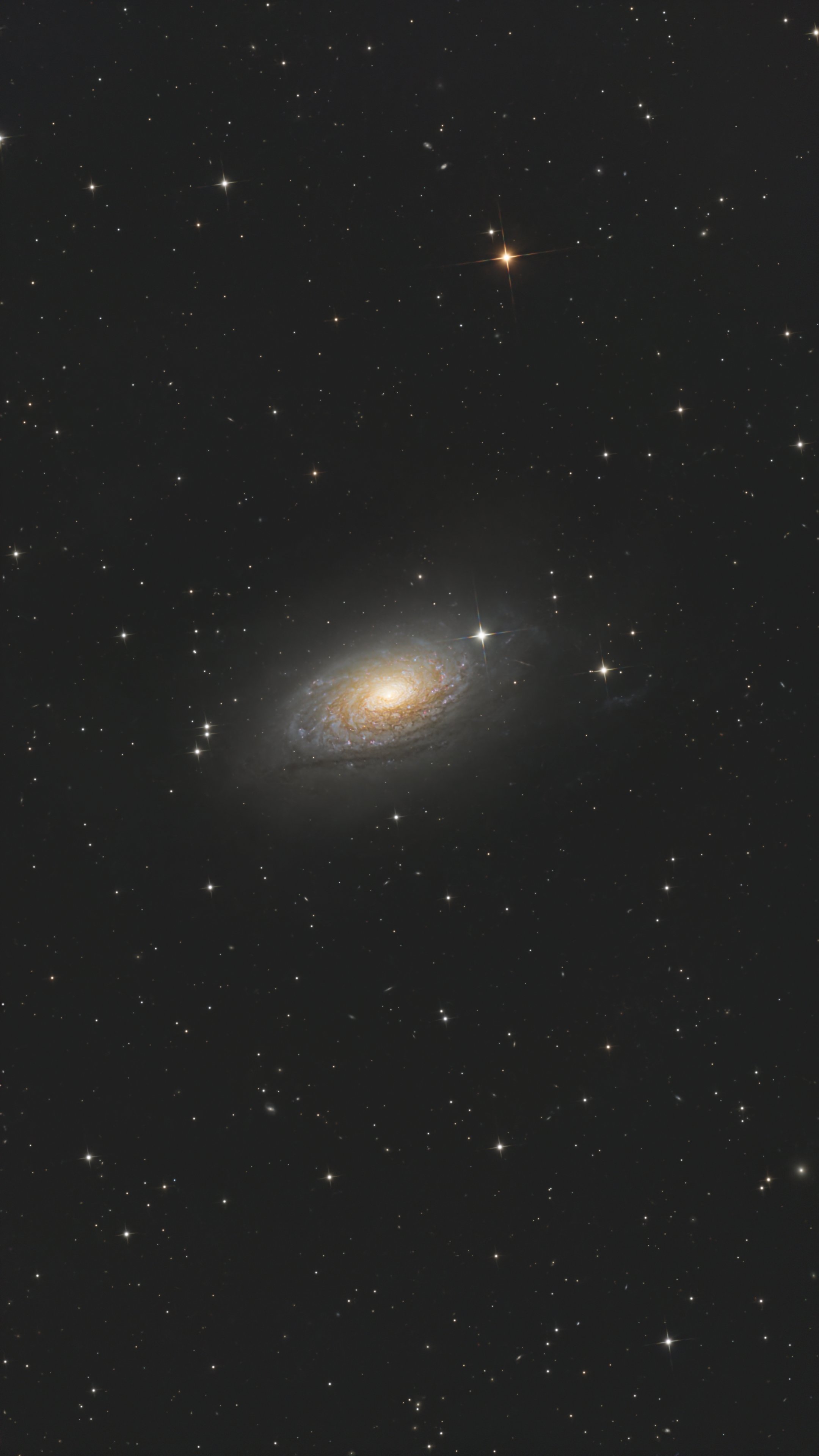 M63 Sunflower-Galaxie | Forum Astronomie.de