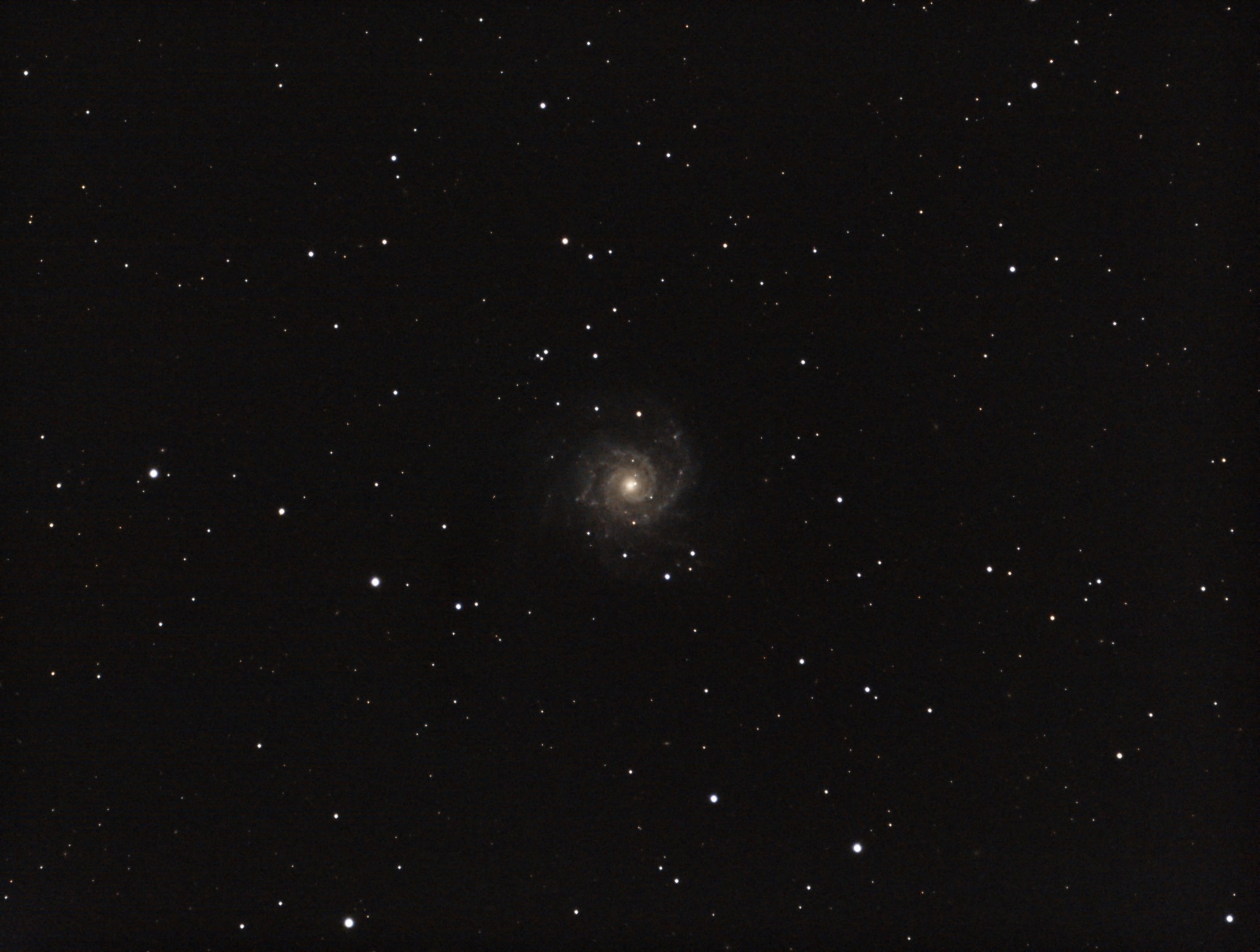 M74.jpg | Astronomie.de - Der Treffpunkt für Astronomie