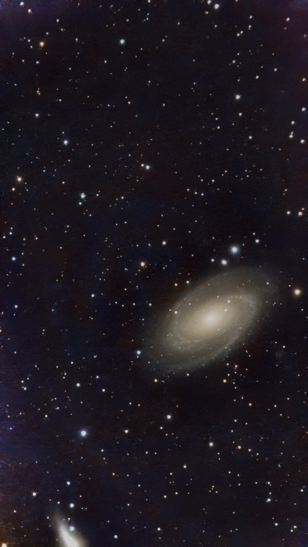 M81 Bode´s Galaxy | Astronomie.de - Der Treffpunkt für Astronomie