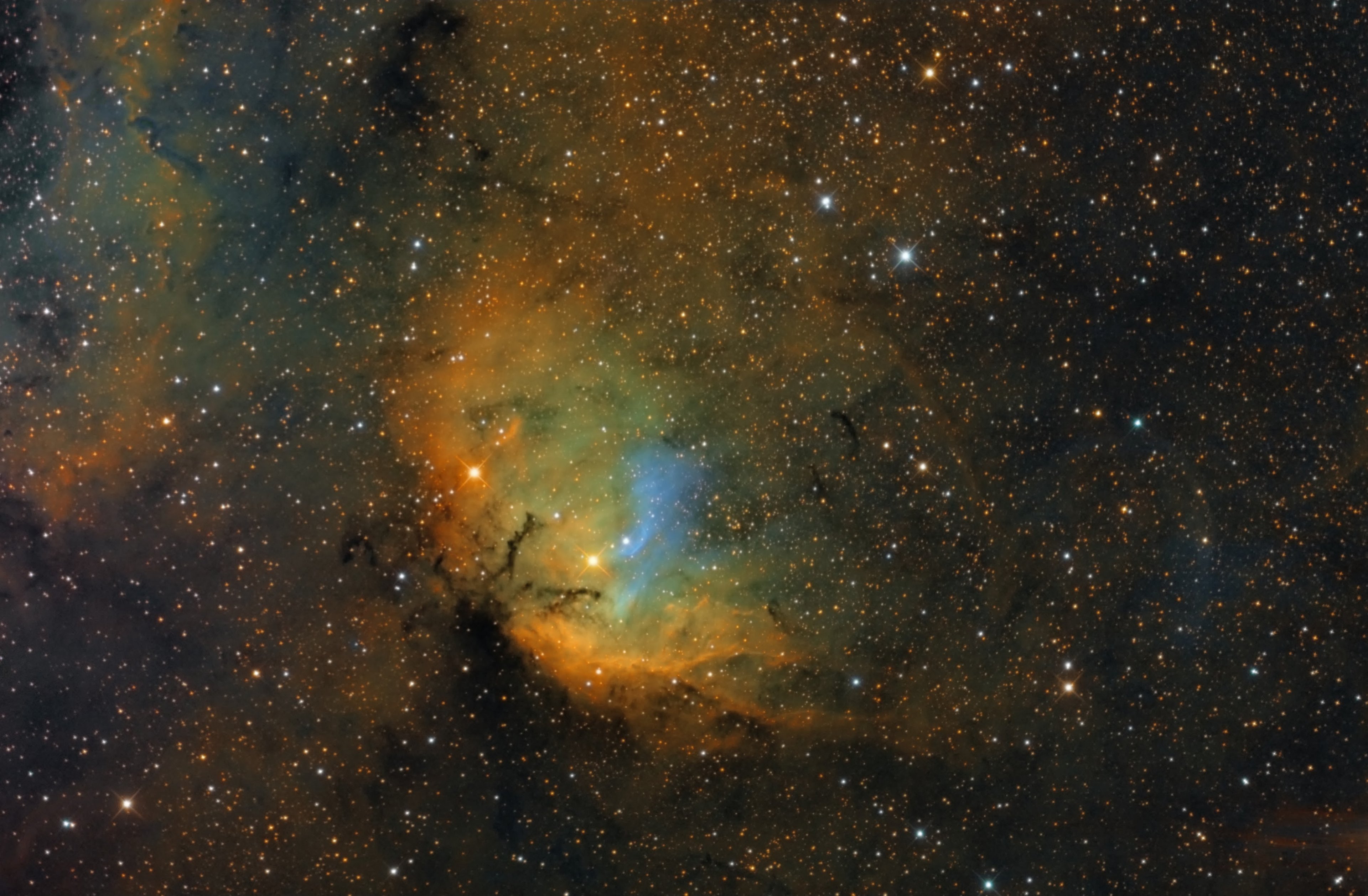 SH2-101 Tulip Nebula with Cygnus X-1 | Forum Astronomie.de