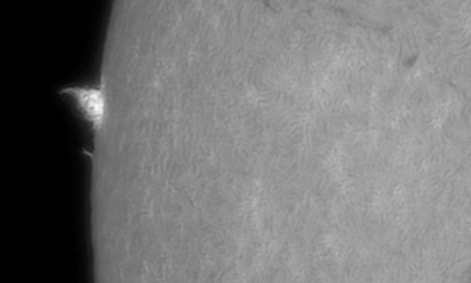 Sonne 17.02.2025 - Animation H-Alpha - Acuter 40 mm | Forum Astronomie.de